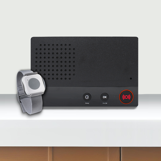 Pendant Alarms | Elderly Lifeline Alarms | LifeConnect24