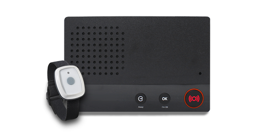 Personal Alarm Service For The Elderly | LifeConnect24