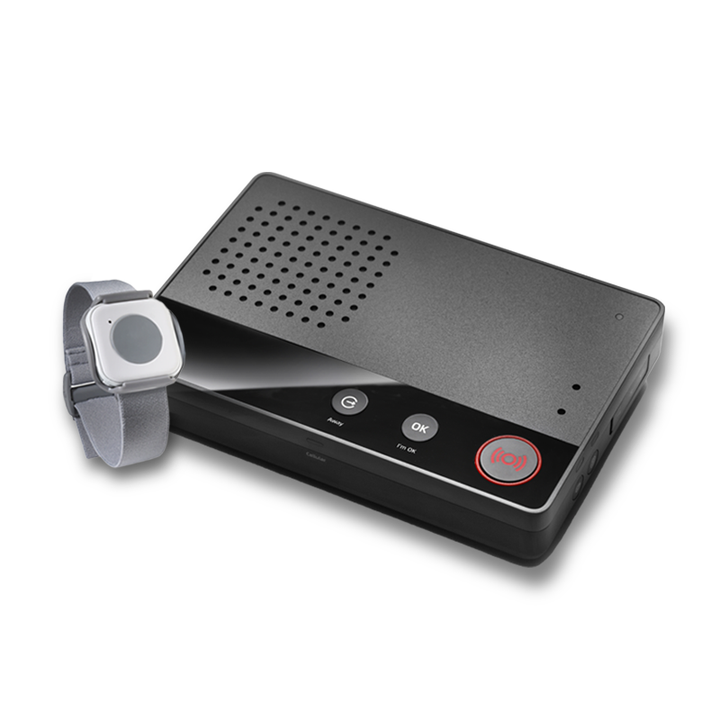 How Do Lifeline Alarms Work | Elderly Alarms | LifeConnect24